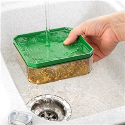 Seminte pentru germinat BIO si Germinatoare - BIOrganicBubu.ro ...